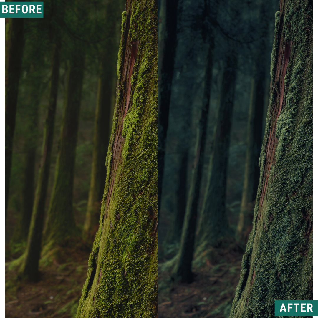 Moody Forest Lightroom Presets Pack – Woodland Presets